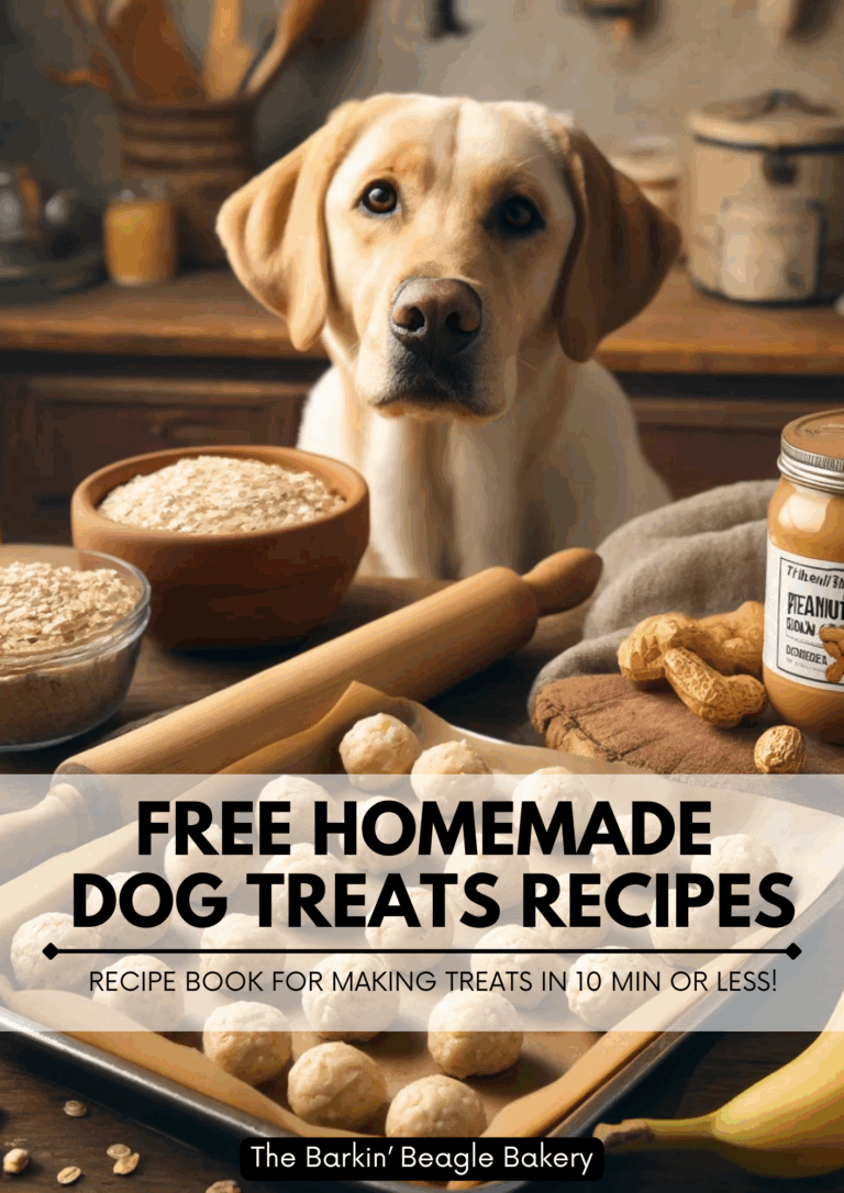 Homemade Dog Treats: Valentine’s Day Edition – The Barkin' Beagle Bakery